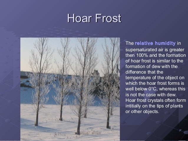 Winter ecology notes frost, snow, and ice