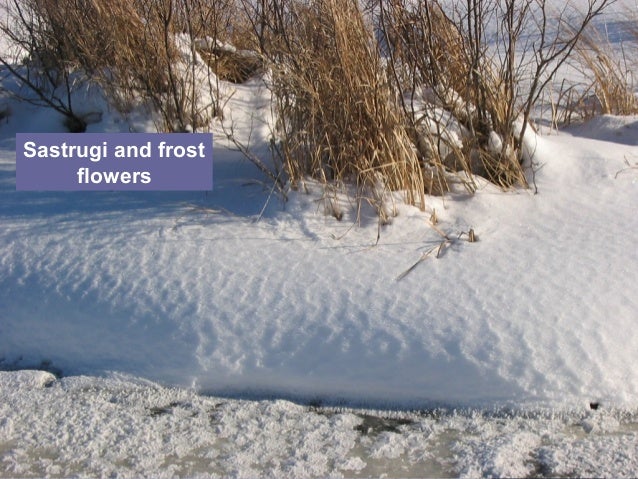 Winter ecology notes frost, snow, and ice