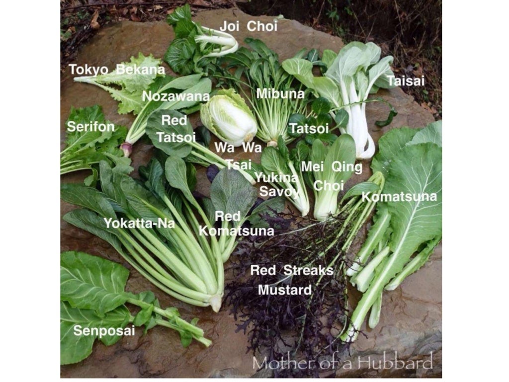 Winter Gardening: Winter Vegetable Production in Low Tunnels