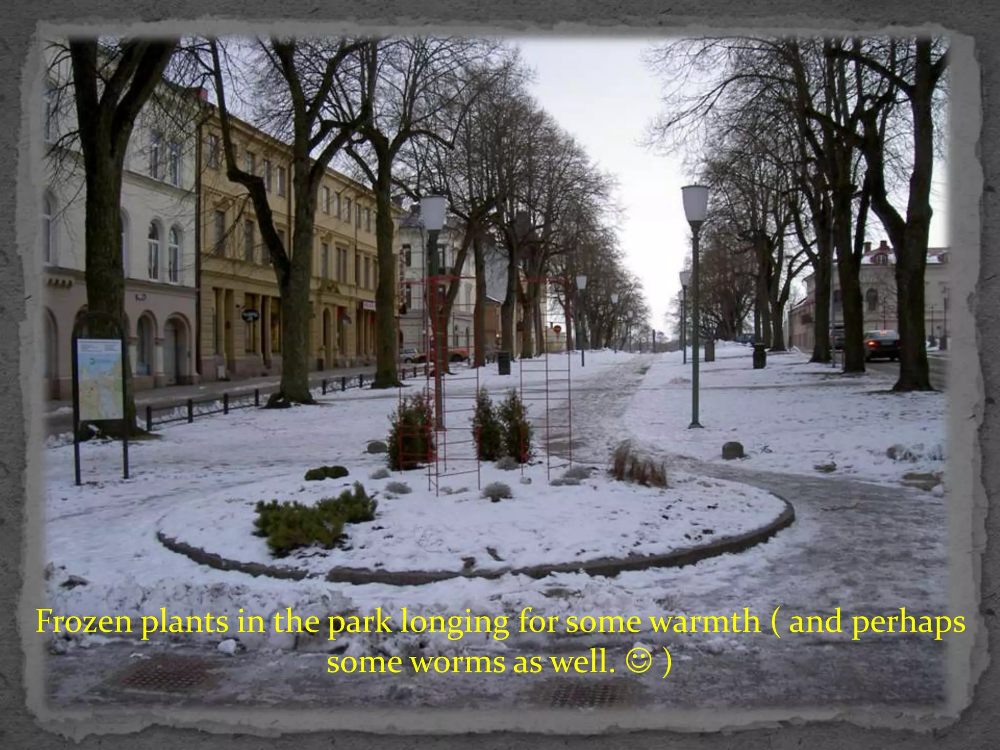 Winter in mariestad... | PPTX