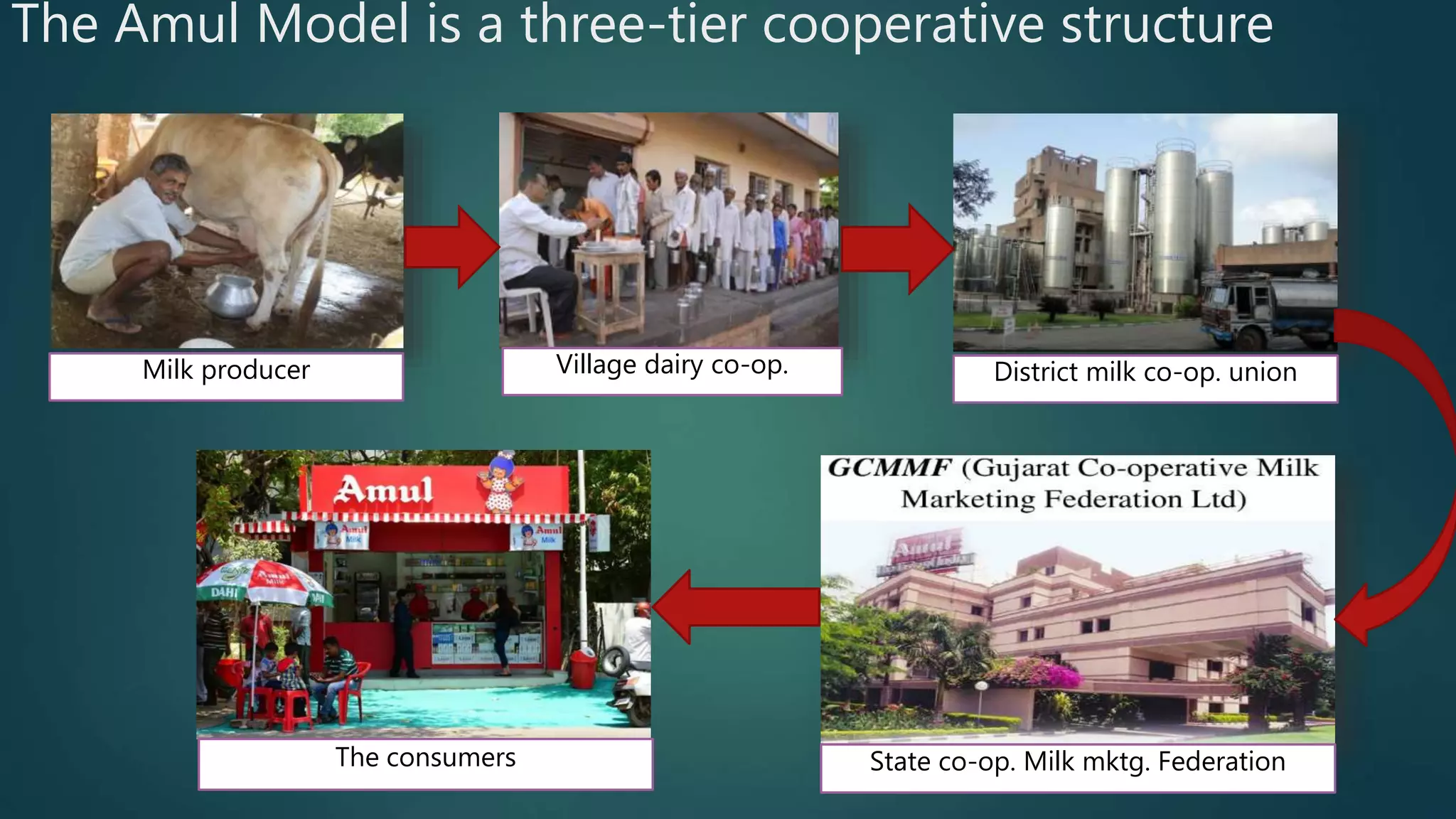 Brand Promotion of Amul Ready to cook Products | PPTX