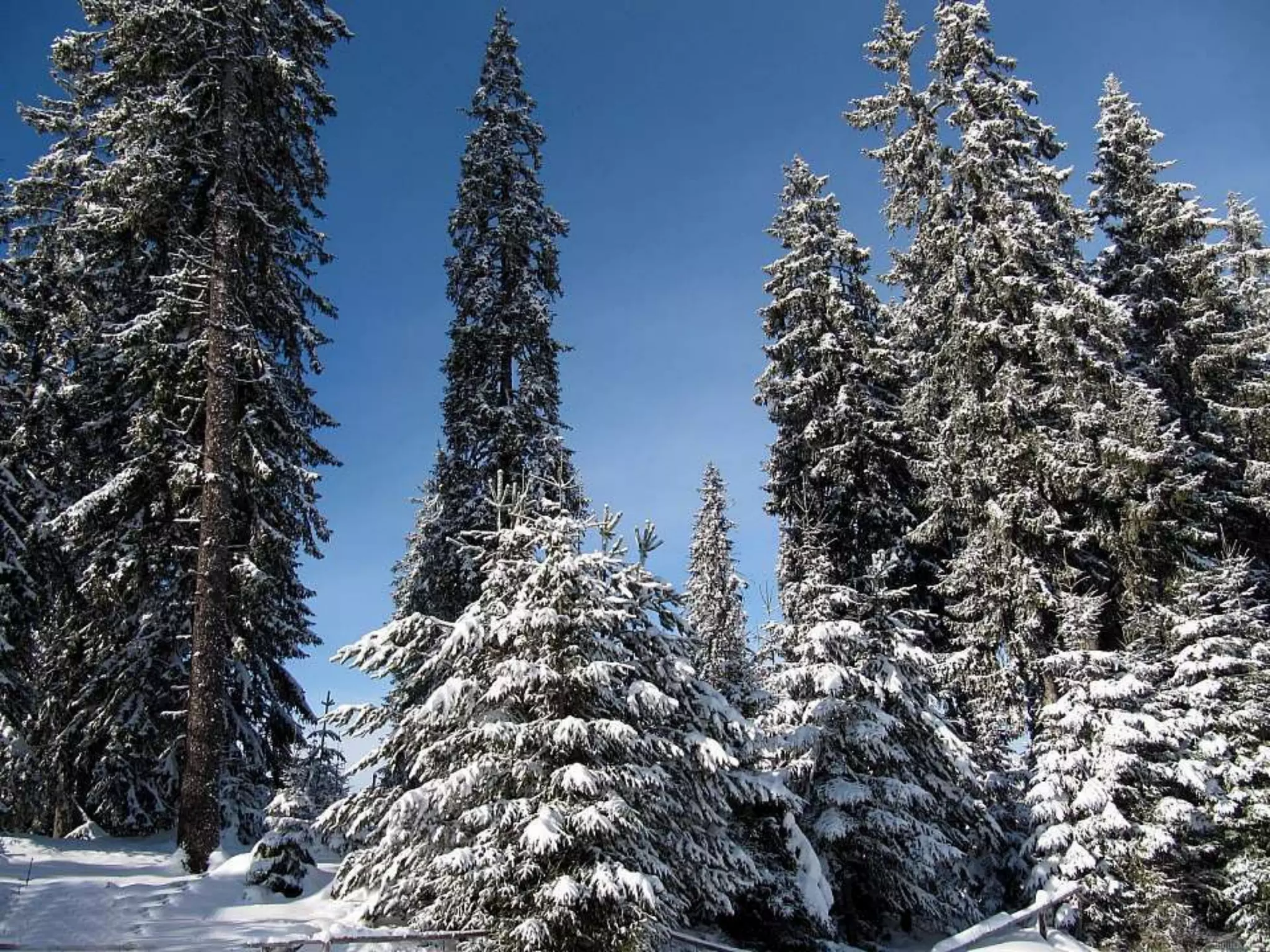 Winter in the rhodope mountains | PPT