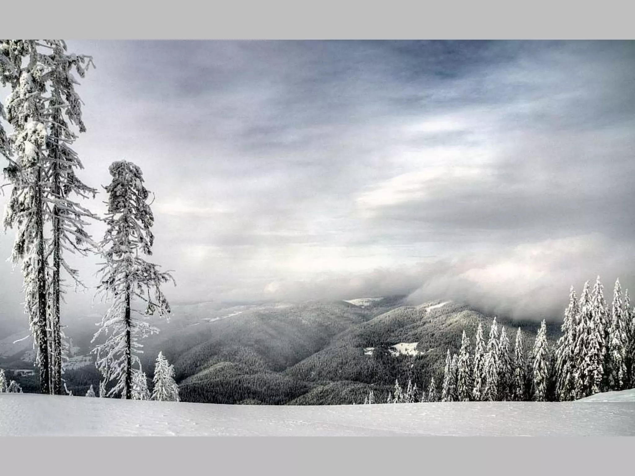 Winter in the rhodope mountains | PPT