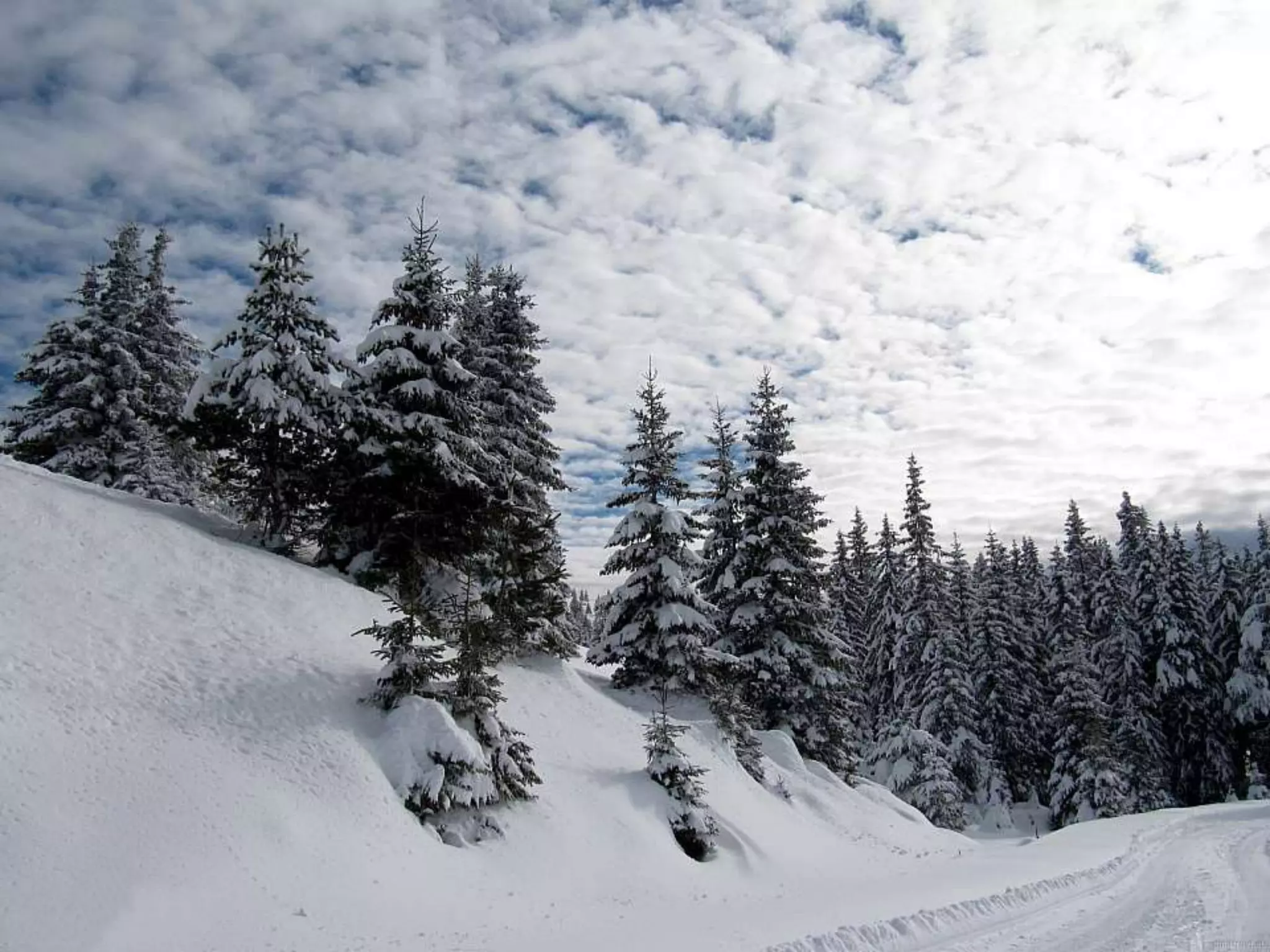 Winter in the rhodope mountains | PPT