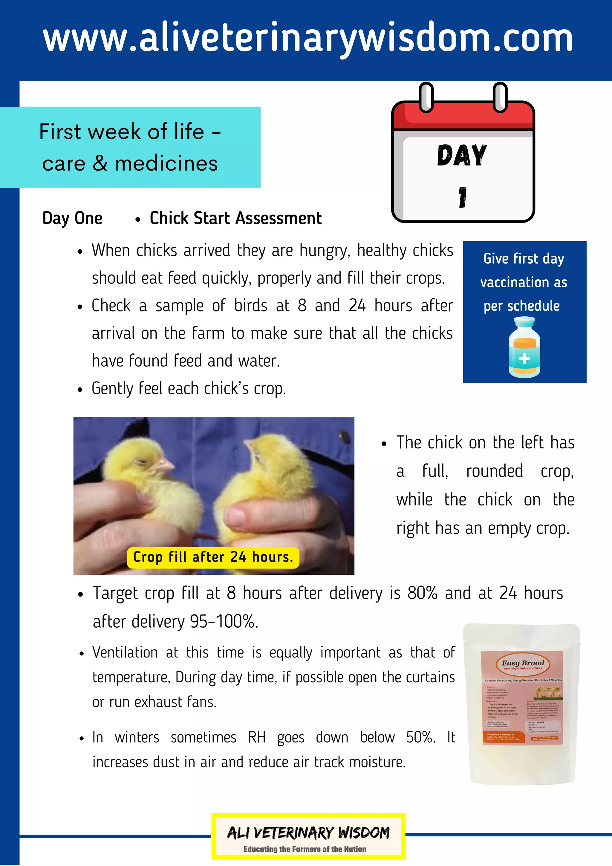 Winter Management in Broilers.pdf