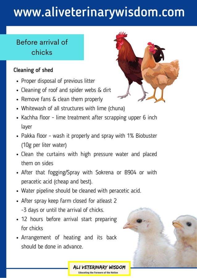 Winter Management in Broilers.pdf | Agriculture | Industries