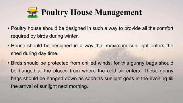 Winter Management of Poultry.ppt | Infectious Diseases | Diseases and Conditions