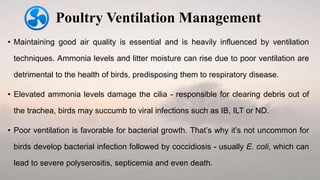 Winter Management of Poultry.ppt