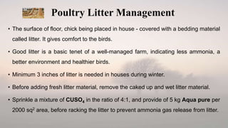 Winter Management of Poultry.ppt