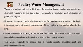Winter Management of Poultry.ppt