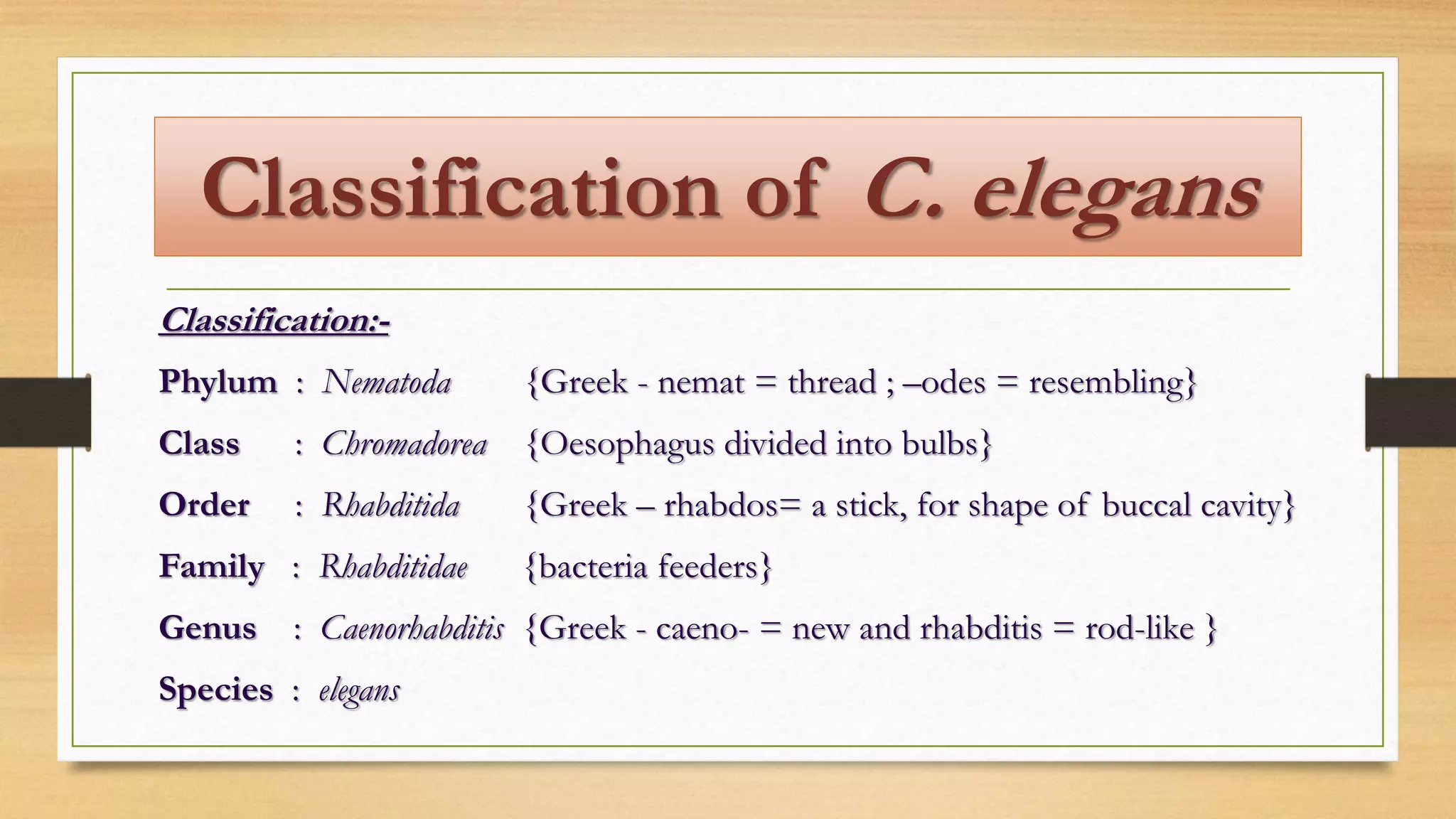 Isolation of Nematodes and Identification of C.elegans, from soil | PPTX