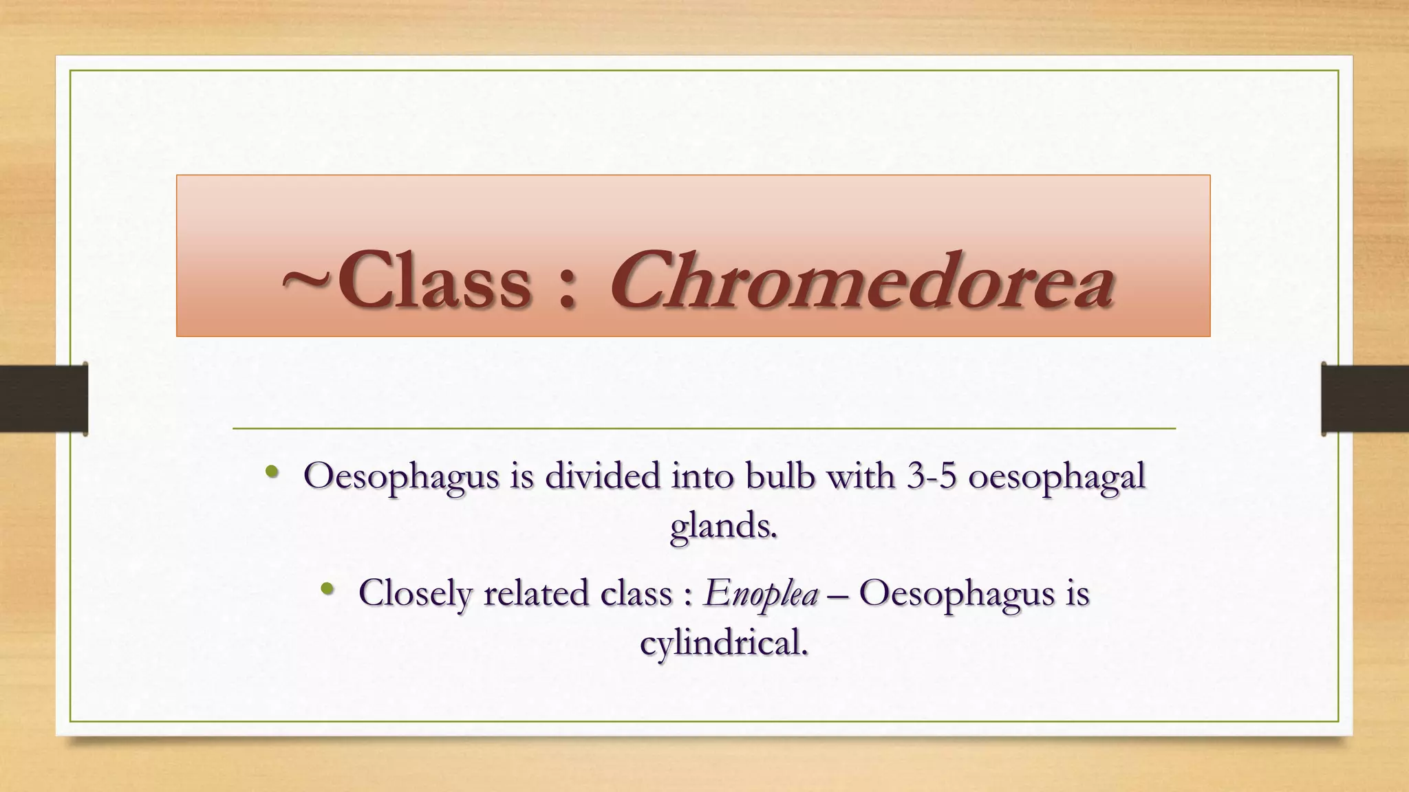 Isolation of Nematodes and Identification of C.elegans, from soil | PPTX
