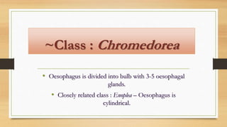 Isolation of Nematodes and Identification of C.elegans, from soil | PPTX