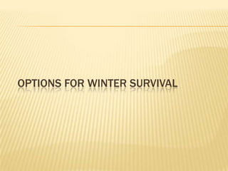 Winter Options for Cattle in Highveld of Zimbabwe | PPTX