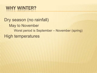 Winter Options for Cattle in Highveld of Zimbabwe | PPTX