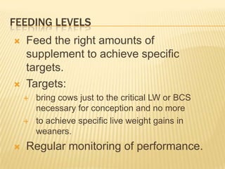 Winter Options for Cattle in Highveld of Zimbabwe | PPTX
