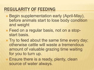 Winter Options for Cattle in Highveld of Zimbabwe | PPTX