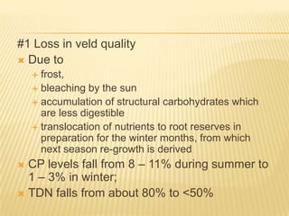 Winter Options for Cattle in Highveld of Zimbabwe | PPTX