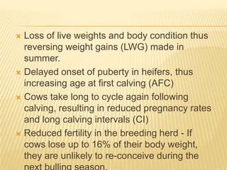 Winter Options for Cattle in Highveld of Zimbabwe | PPTX