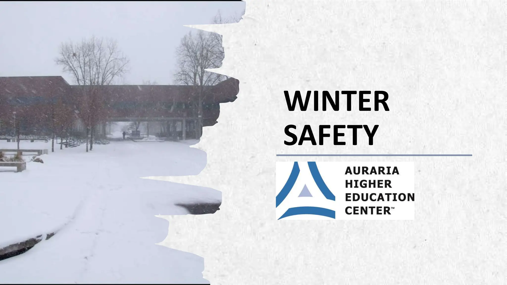Winter Safety | PPTX