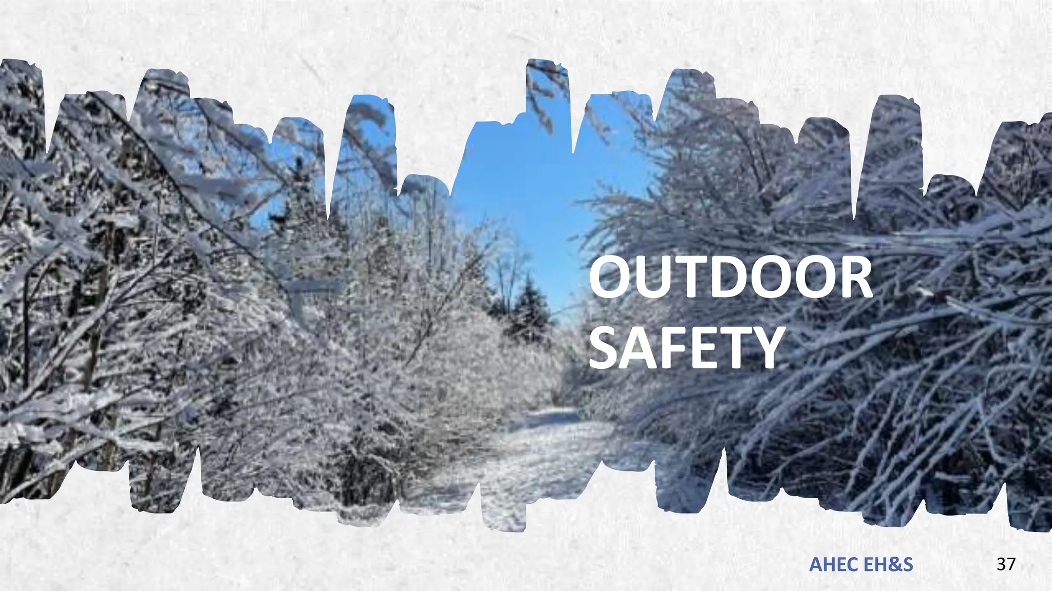 Winter Safety | PPTX