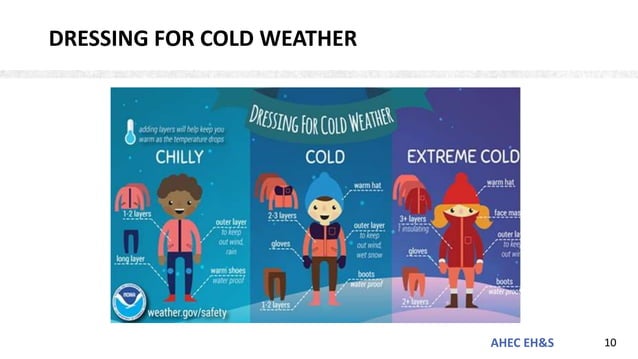 Winter Safety | PPTX | Weather | Science