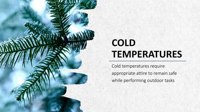 Winter Safety | PPTX | Weather | Science
