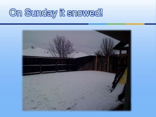 Winter wonderland | PPT