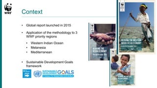 WIO Ocean Economy Report 2017 | PPT