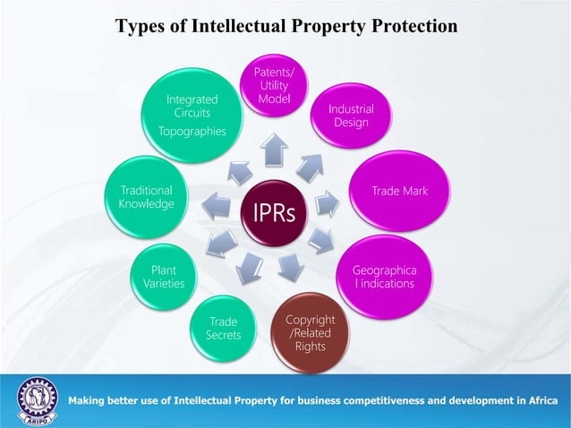 Intellectual Properties notes and rights.pdf