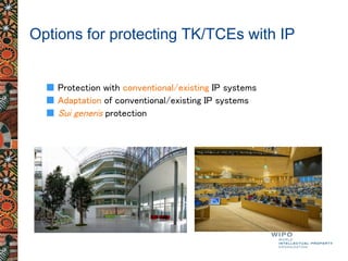 wipo_iptk_yfb_19_presentation_3_introduction_to_ip_tk_and_tces.pptx