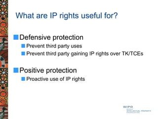 wipo_iptk_yfb_19_presentation_3_introduction_to_ip_tk_and_tces.pptx
