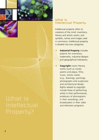 INTELLECTUAL PROPERTY RIGHT | PDF
