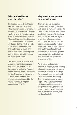 INTELLECTUAL PROPERTY RIGHT | PDF