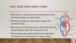 Heart Attack Safety Awareness with Presentation .pptx