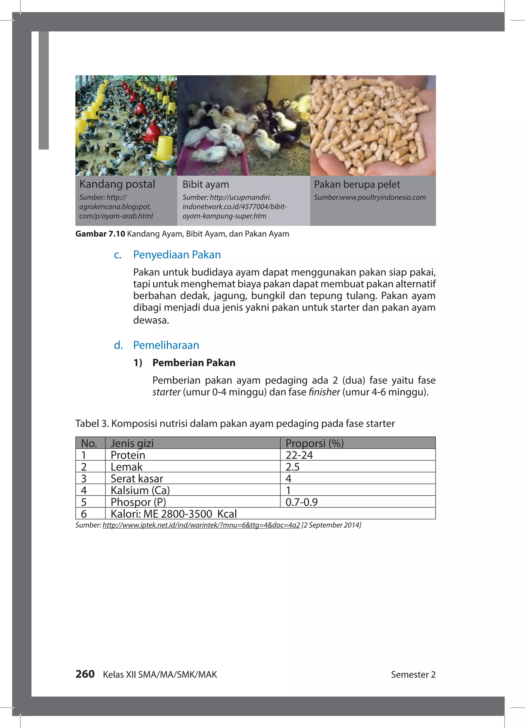 Wirausaha produk budidaya unggas pedaging | PDF