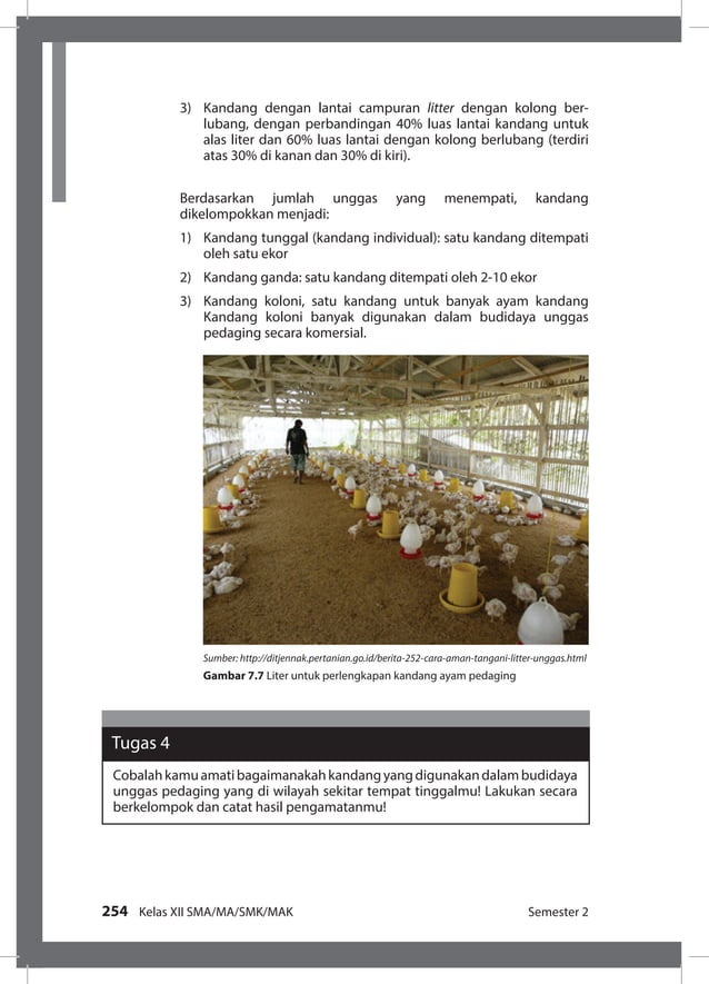 Wirausaha produk budidaya unggas pedaging | PDF