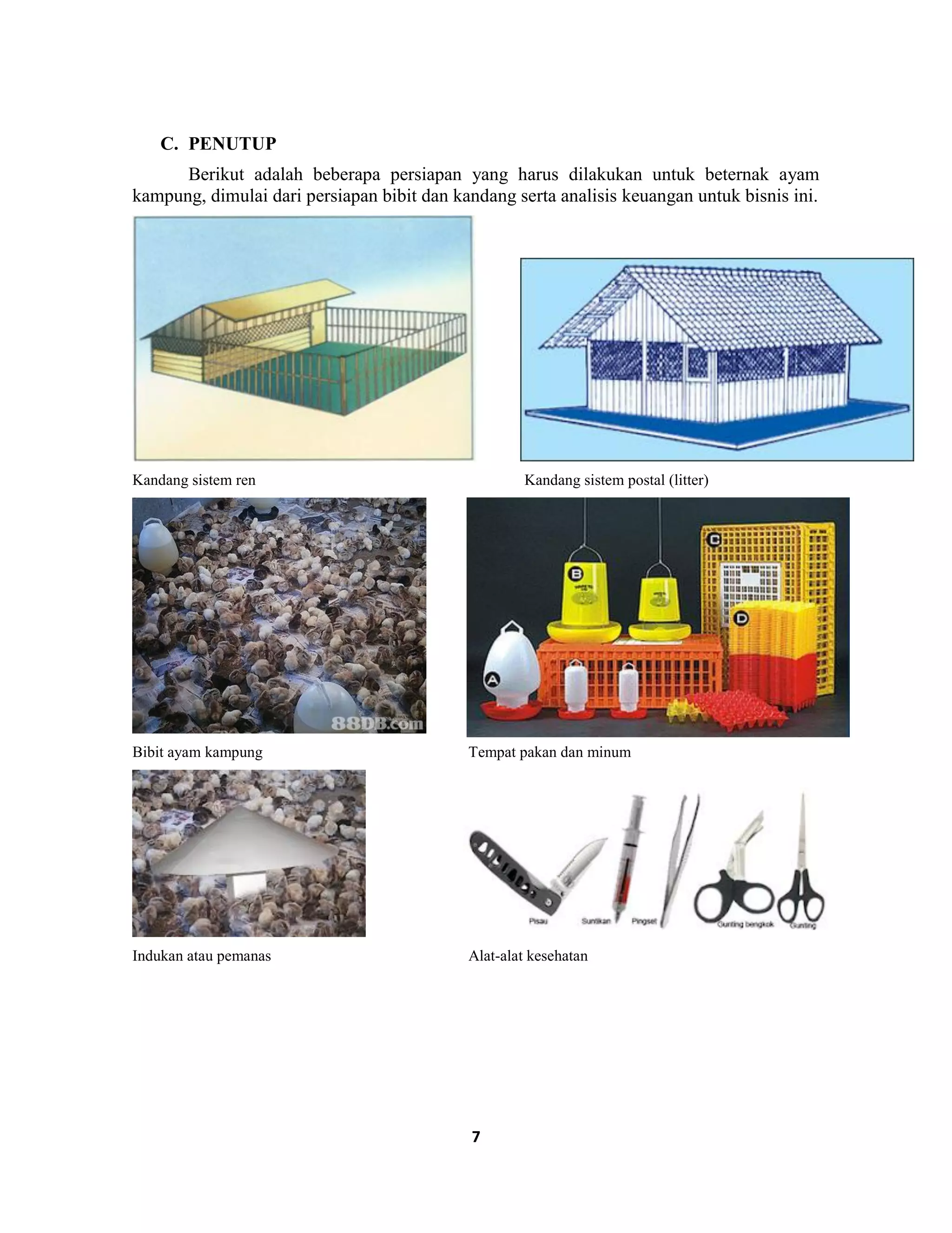 Wirausaha ternak ayam | PDF