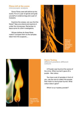 Wire Bunny Forensic Taster | PDF