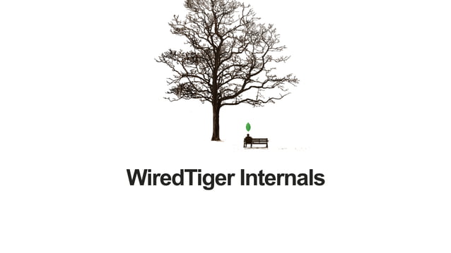 MongoDB WiredTiger Internals | PDF