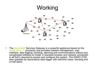 Wireless sensor network | PPT | Computer Networking | Computing