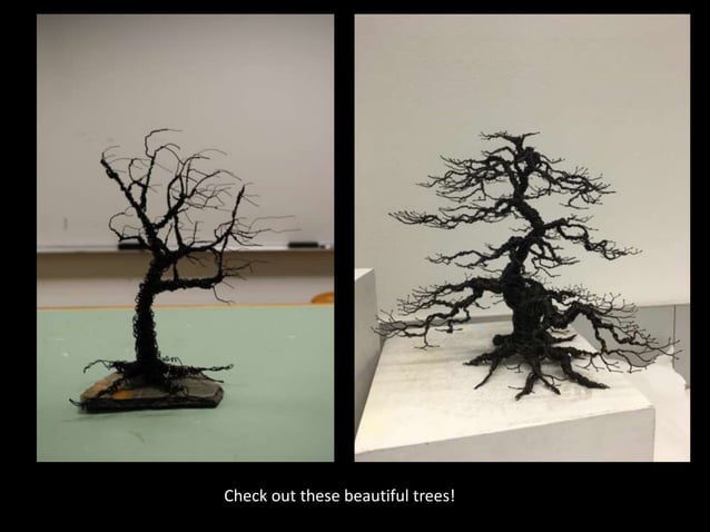 Wire Sculpture Project | PPTX