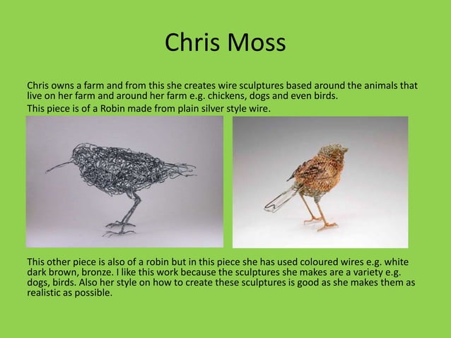 Wire Sculpture Artist | PPTX