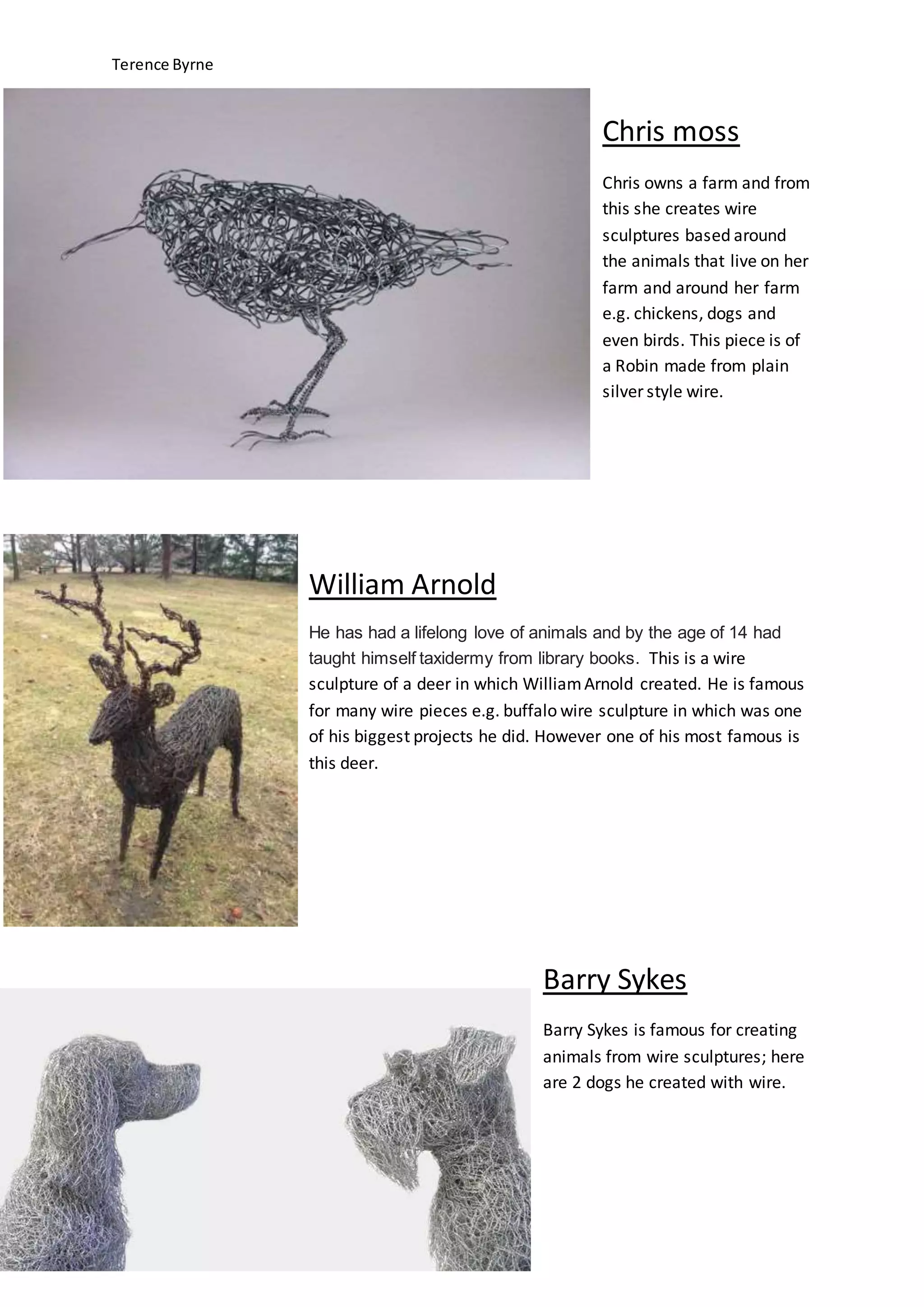 Wire Sculptures | DOCX