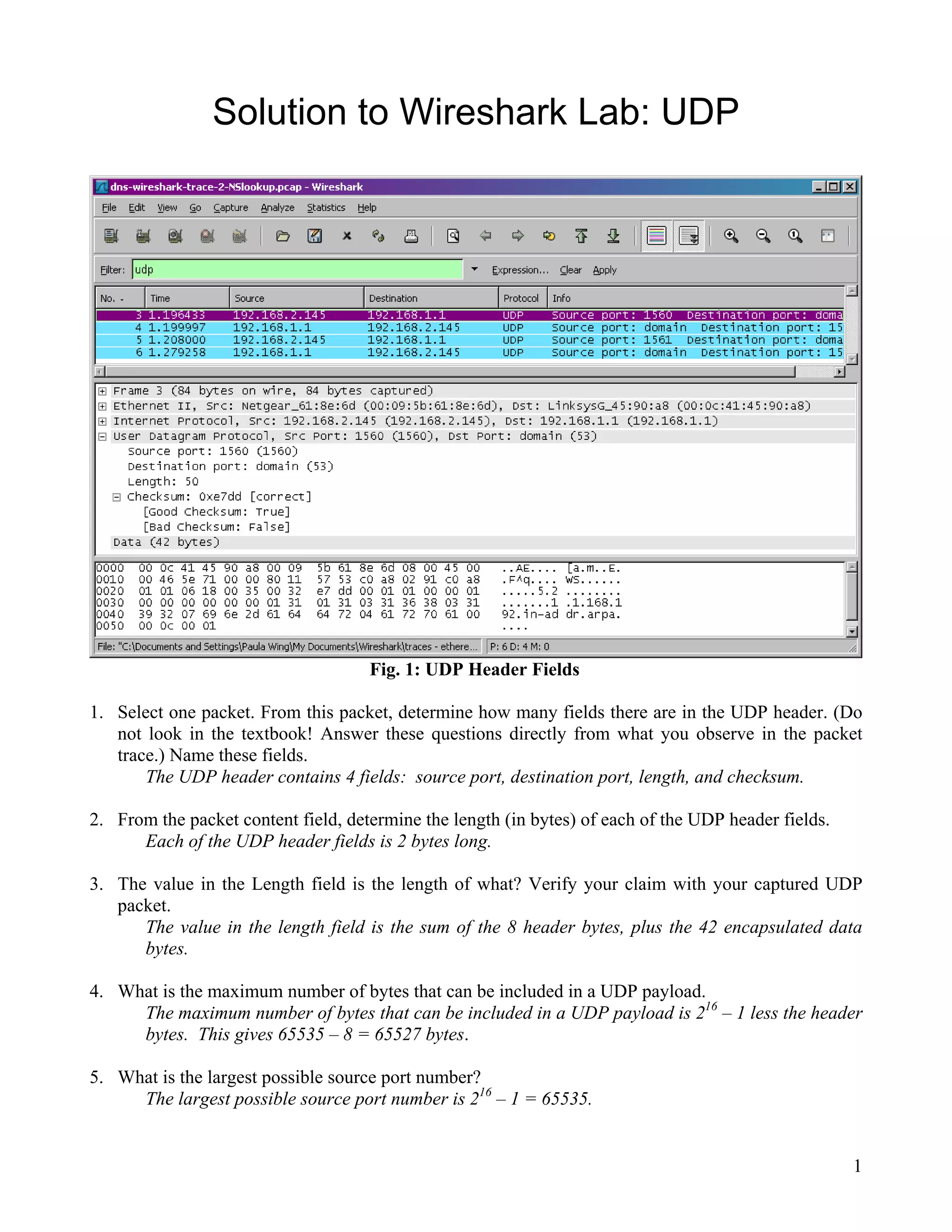 Wireshark udp solution | PDF