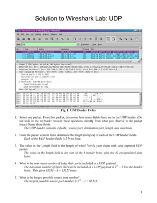 Wireshark udp solution | PDF
