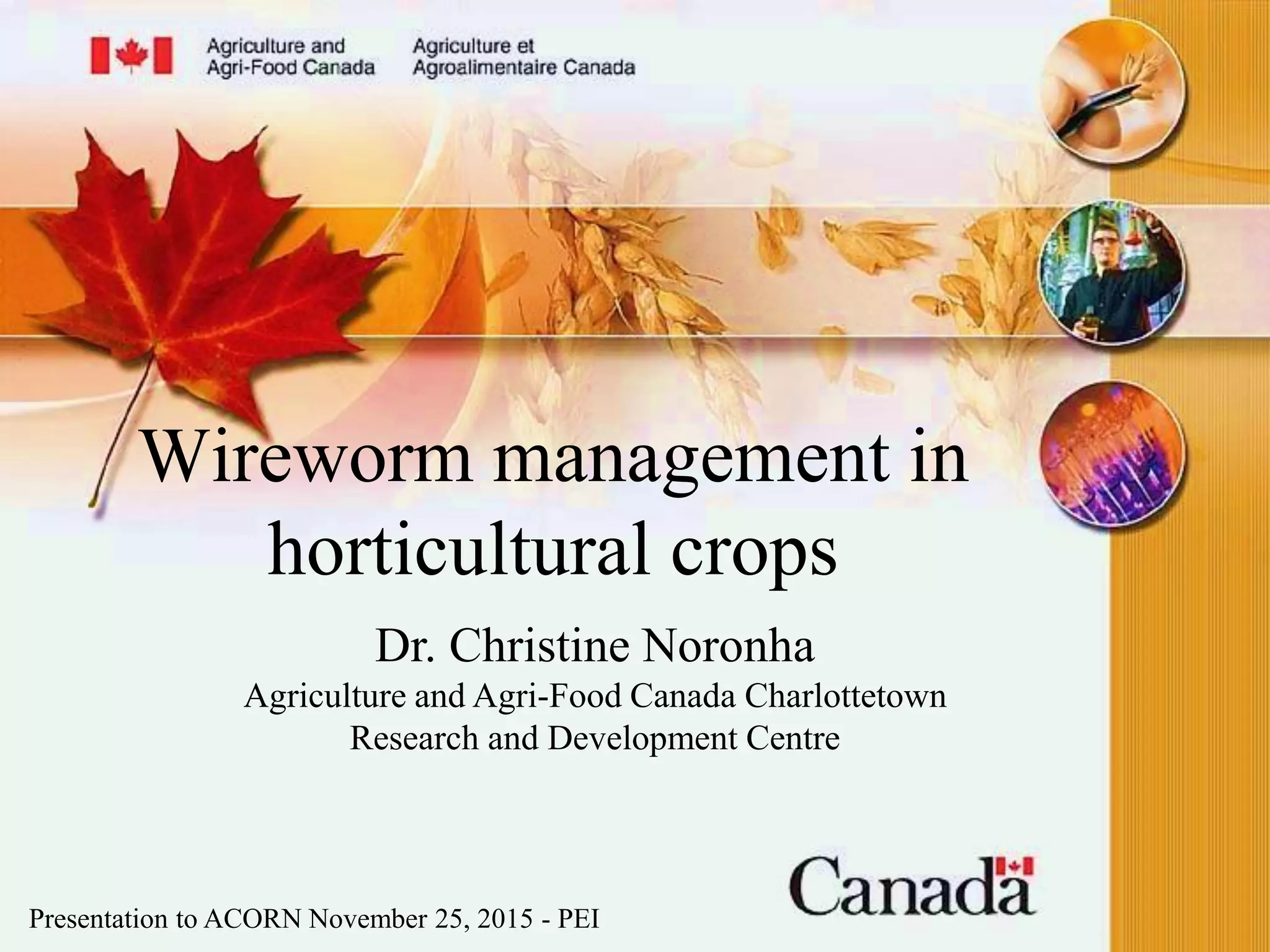 Wireworm Management in Horticultural Crops | PDF