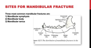 Mandibular Ramus Cat