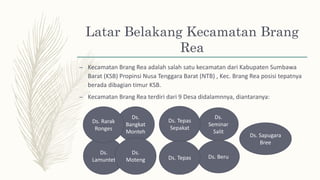 Wisata alam brang rea | PPT
