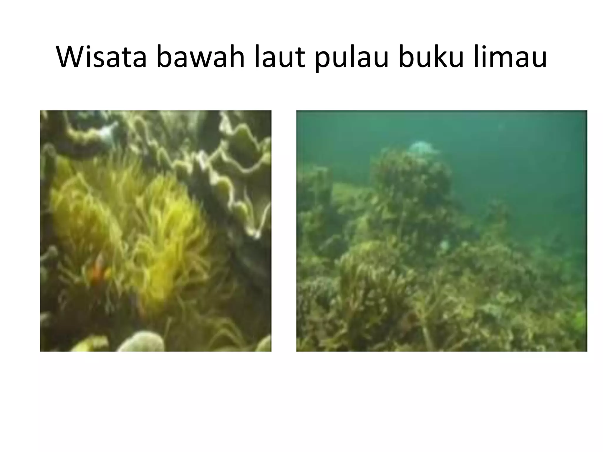 Wisata bawah laut belitung timur | PPT